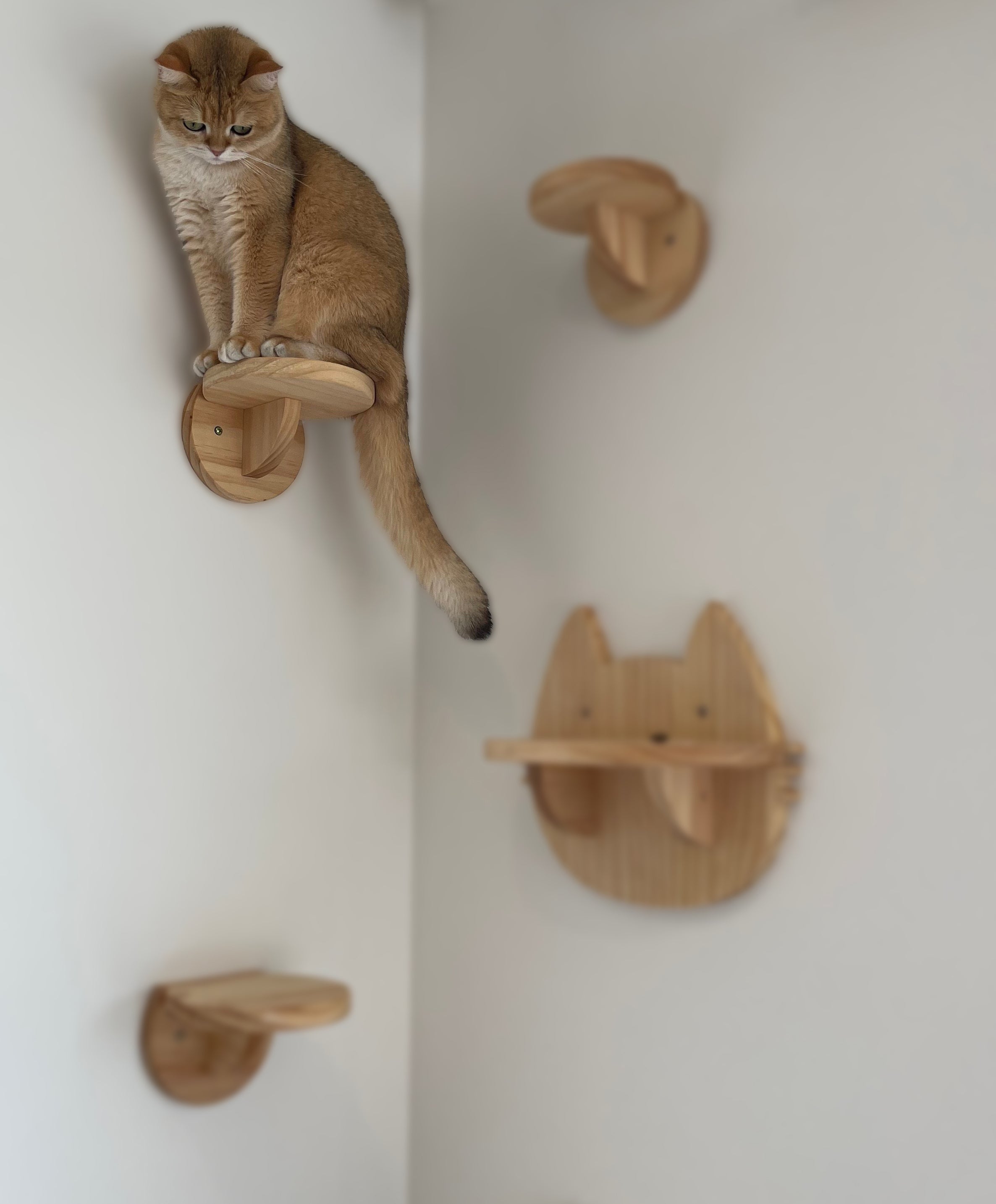 Cat Steps – Fur Furniture